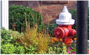 Fire Hydrant Painting and Sandblasting Service - Raleigh NC and Beyond